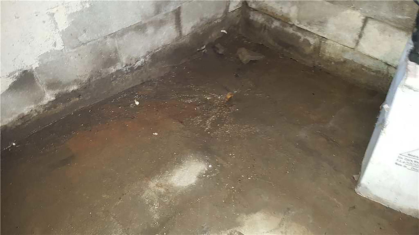 Basement Damp - Leaders at Treating Basement Damp - London & Kent